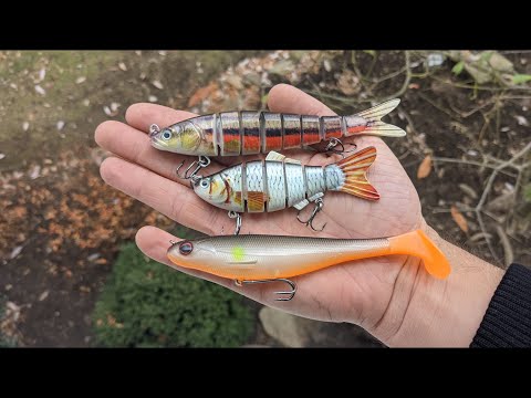 I Bought Cheap Swimbaits on Amazon are they Any Good?