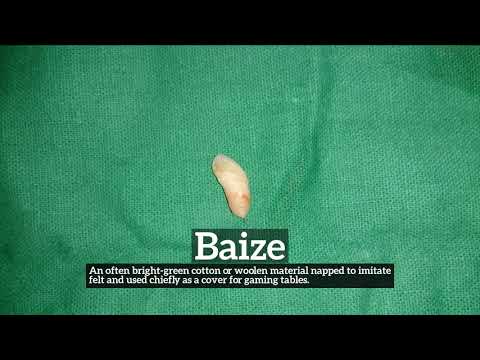 How to Say Baize in English? | How Does Baize Look? | What is Baize?