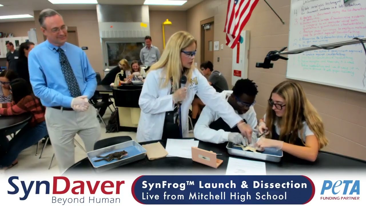 SynFrog Live Dissection Video