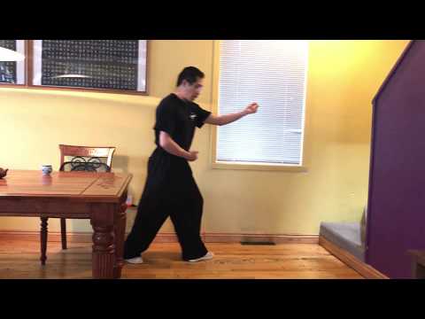 Xing Yi Teaching Series (Returning the Practice to China Project) in Chinese-11
