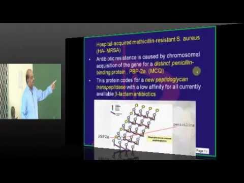 Staphylococcus High yield Topic Microbiology for USMLE Step 1 prep www.anatomy2medicine.com