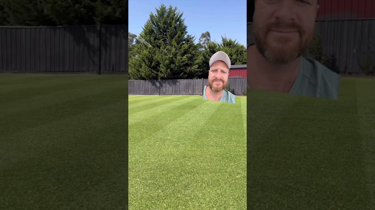 The Ultimate Lawn Transformation Process! 🚜