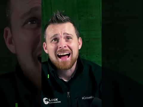 Landscaping 101 - Learn the Basics