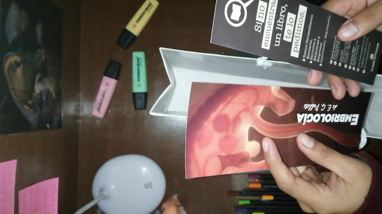 NETTER Cuaderno de anatomía para colorear.  2da EDICION⚕️