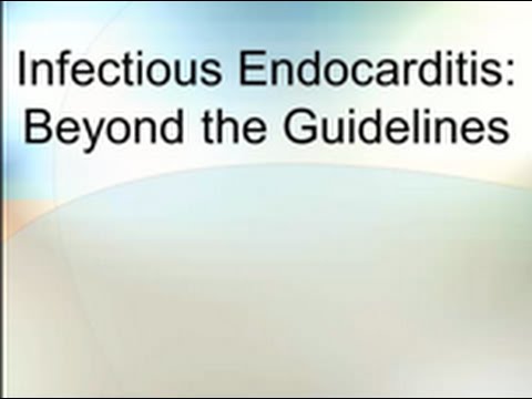 Infective Endocarditis: Beyond the Guidelines - Kaley Tash, MD