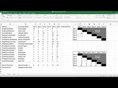 alpha, beta, gamma diversity – mussel data