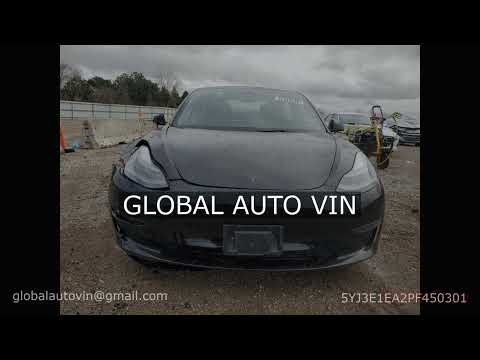 Tesla MODEL 3 2023 5YJ3E1EA2PF450301