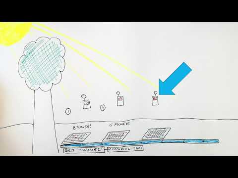 Transects & Quadrats | GCSE Biology (9-1) | kayscience.com