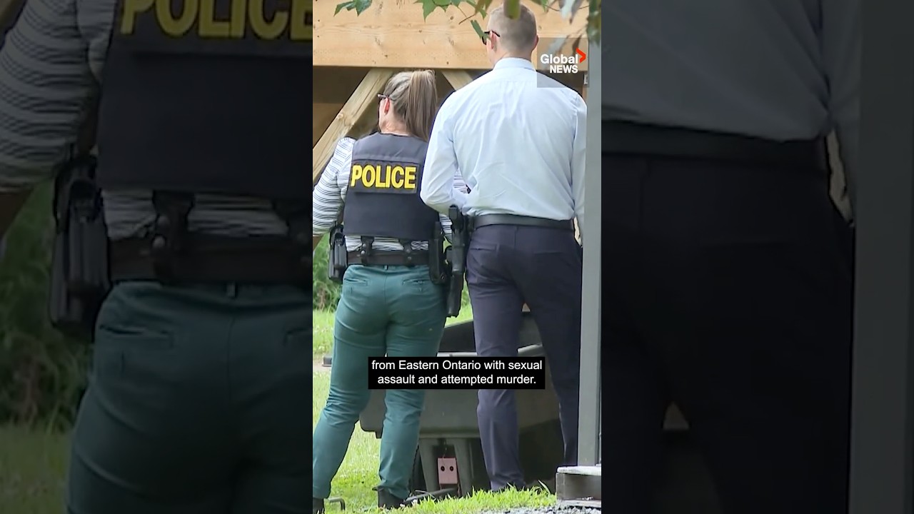 Quadeville attack: Teen facing attempted murder, sexual assault charges appears in court