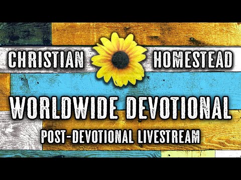 Worldwide Devotional for Young Adult Review Livestream