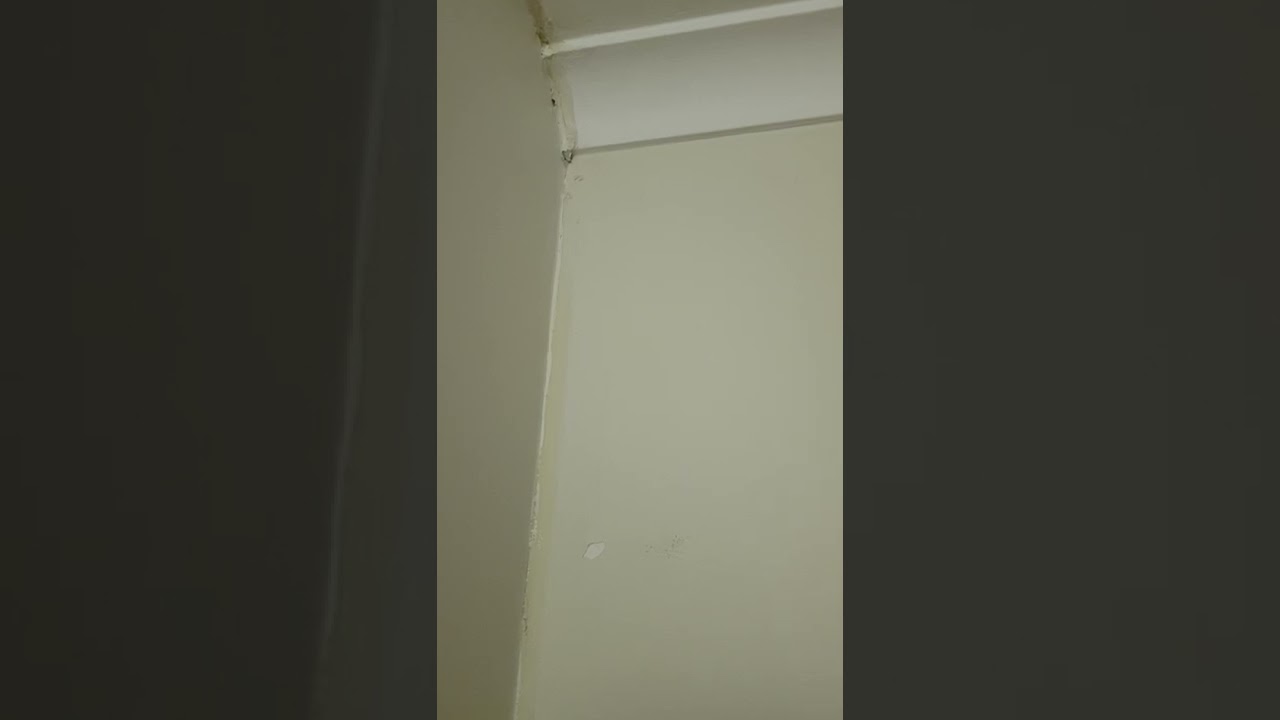 The mysterious beep part 6