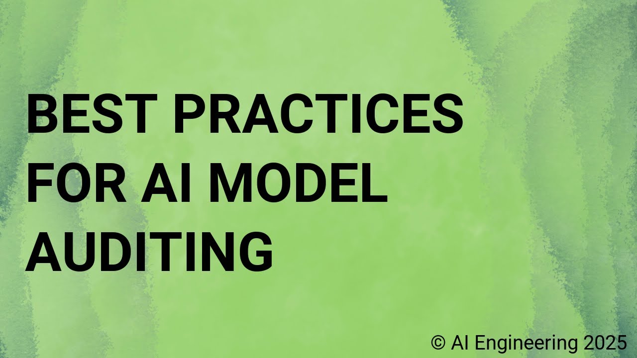 Best Practices for AI Model Auditing