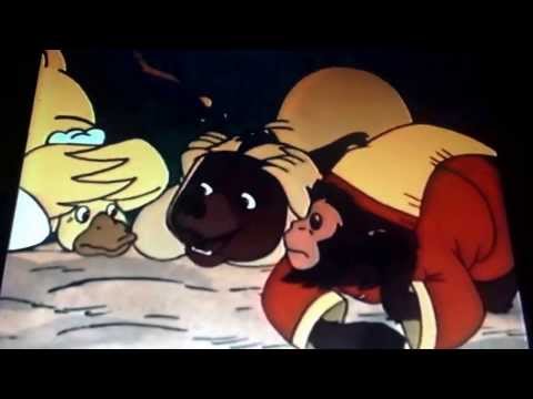 New little bear video