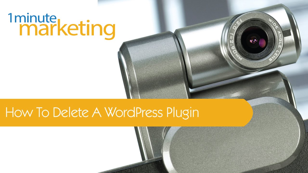How To Delete A WordPress Plugin From A Website