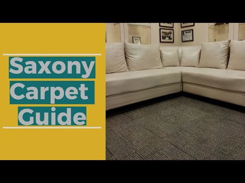 Saxony Carpet Guide - Go Carpet Cleaning