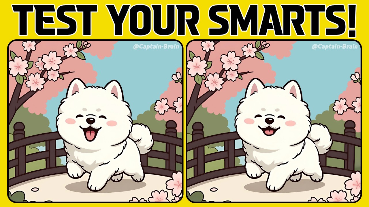 Think You’re Observant? Spot the Differences! (Tricky Challenge)