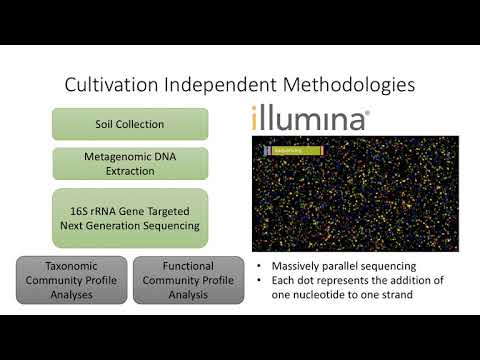 Tutorial: Microbiome Analyses and the Taxon Abundance Table Overview
