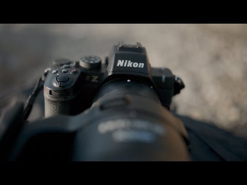 Nikon Z50 II for wildlife photography - A great entry level DX option for nature photographers!