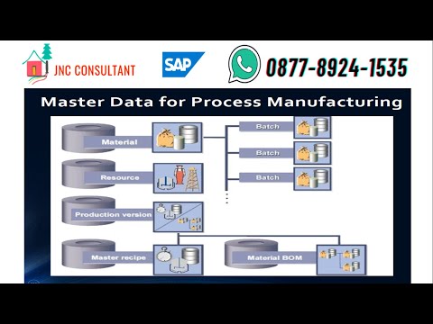 Process Manufacturing (SAP PPPI) – SAP MM/PP/QM/PM/SD