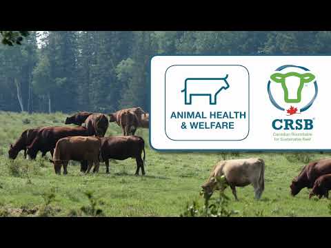 CRSB Principle: Animal Health & Welfare