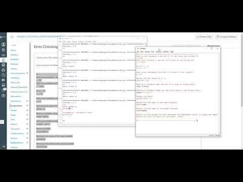 Error Checking - Python