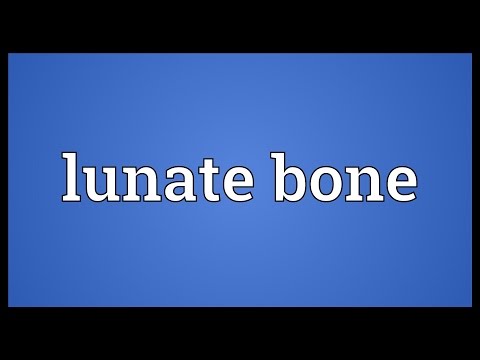Lunate bone Meaning