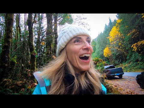 Vancouver Island Road Trip - BIG Trees, Beach Waterfalls, Cozy Cabin - BC, Canada
