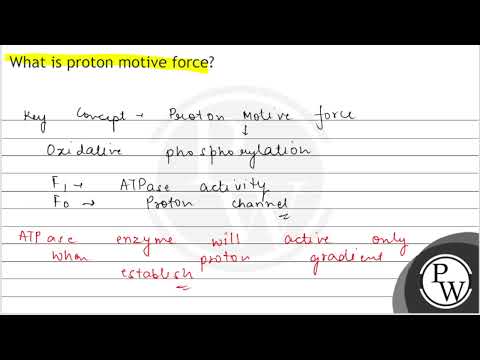 What is proton motive force?
