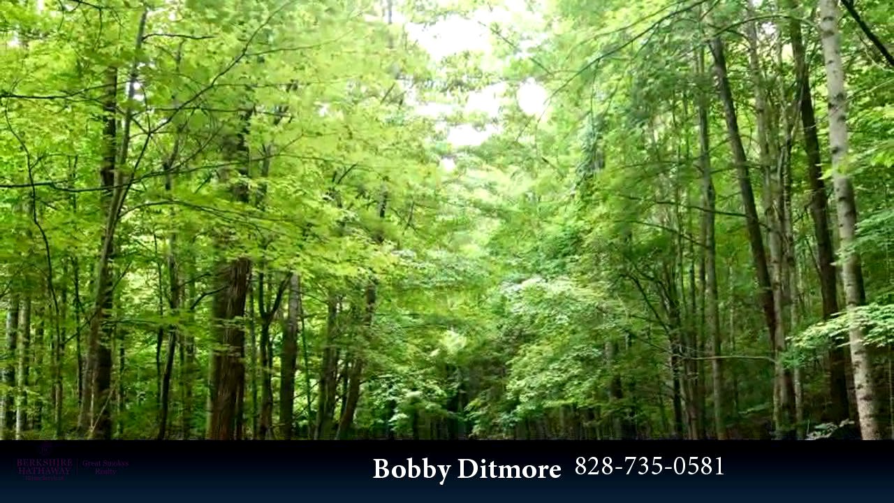 Shuler lake, Robbinsville, NC 28713