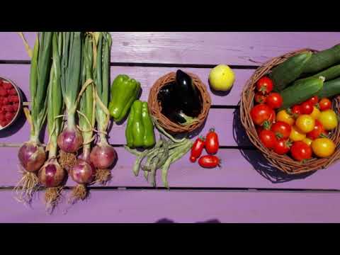 Fruit'n'veg (learn English with pie)