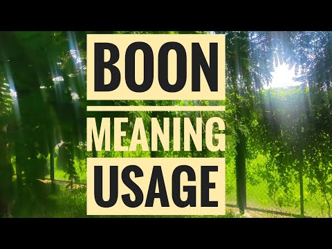 Boon | Usage and meaning | Area 63