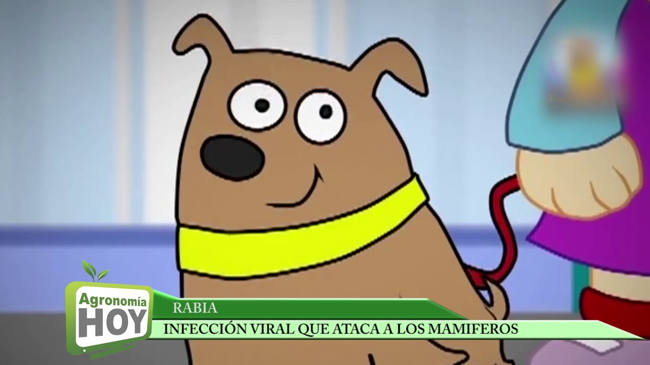 Programa Agronomía hoy 08/10/2017