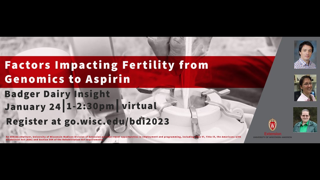 Cow fertility in the post-genomic era