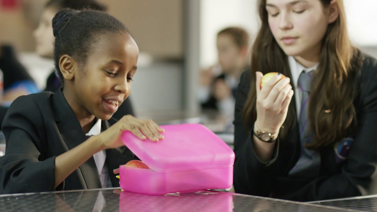 Discover: Social Sciences