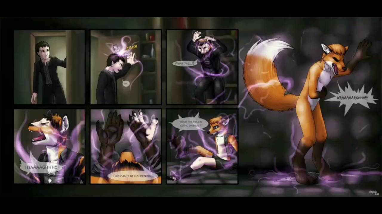 Fox tf3