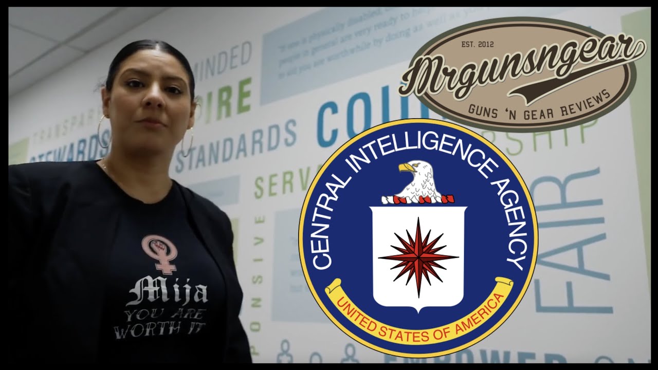 Alexander R. Galloway — Big Bro (Review of Wendy Hui Kyun Chun ...