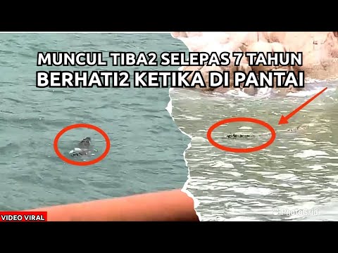 Teluk Batik, Lumut: Crocodile spotted | weehingthong