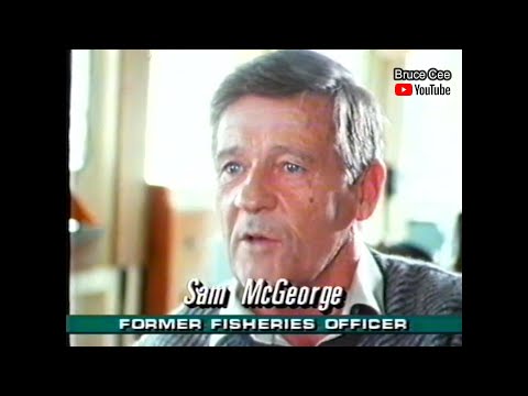 Part of Frontline inc Eyewitness News 1989 NZ Fisheries MAF NZ