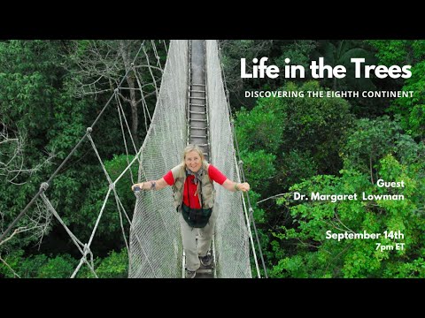 Life in the Trees Discovering the eighth continent | Science Pub