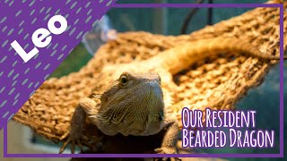 Great Explorations, Inc. - GuideStar Profile