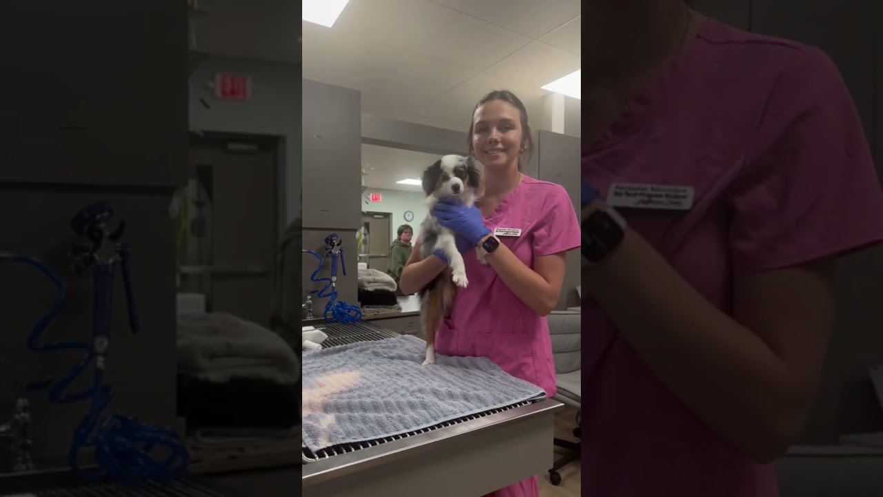 VET 110- Canine Restraint Techniques Revised