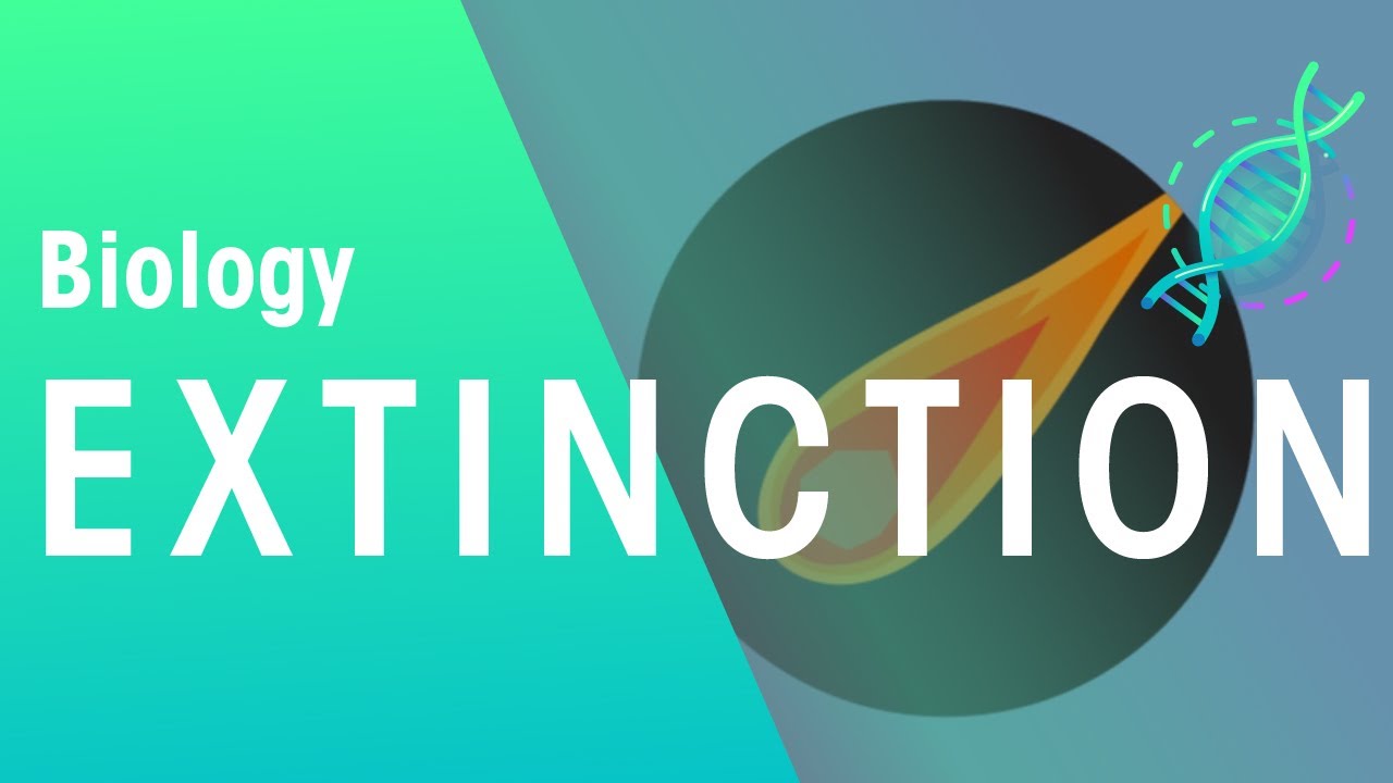 Extinction of Species | Evolution | Biology | FuseSchool