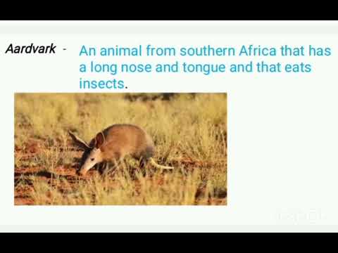 Oxford English aardvark word meaning