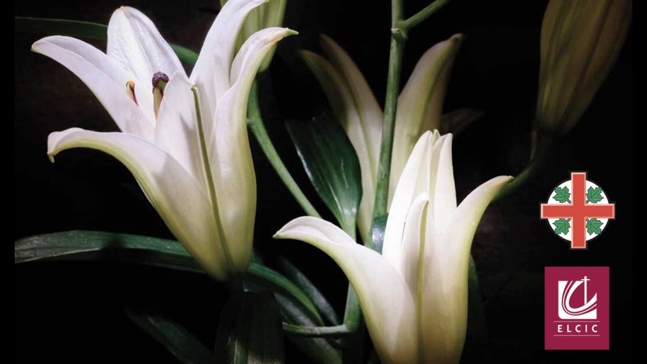 A joint Easter message from National Bishop Susan Johnson and the Anglican Primate 1080p