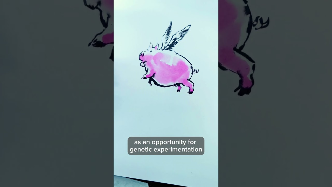 When pigs fly... #art #dailyinkmonster #politicalart