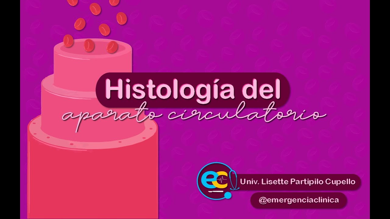 HISTOLOGÍA del APARATO CIRCULATORIO