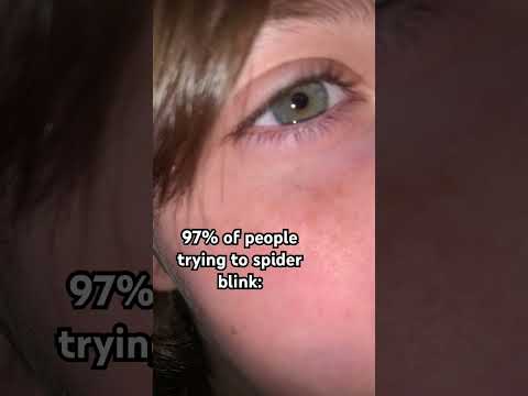 spider blinking #spider #blink #eyes #blueeyes #prettyeyes #cool #fypシ゚viral #fypviralシ