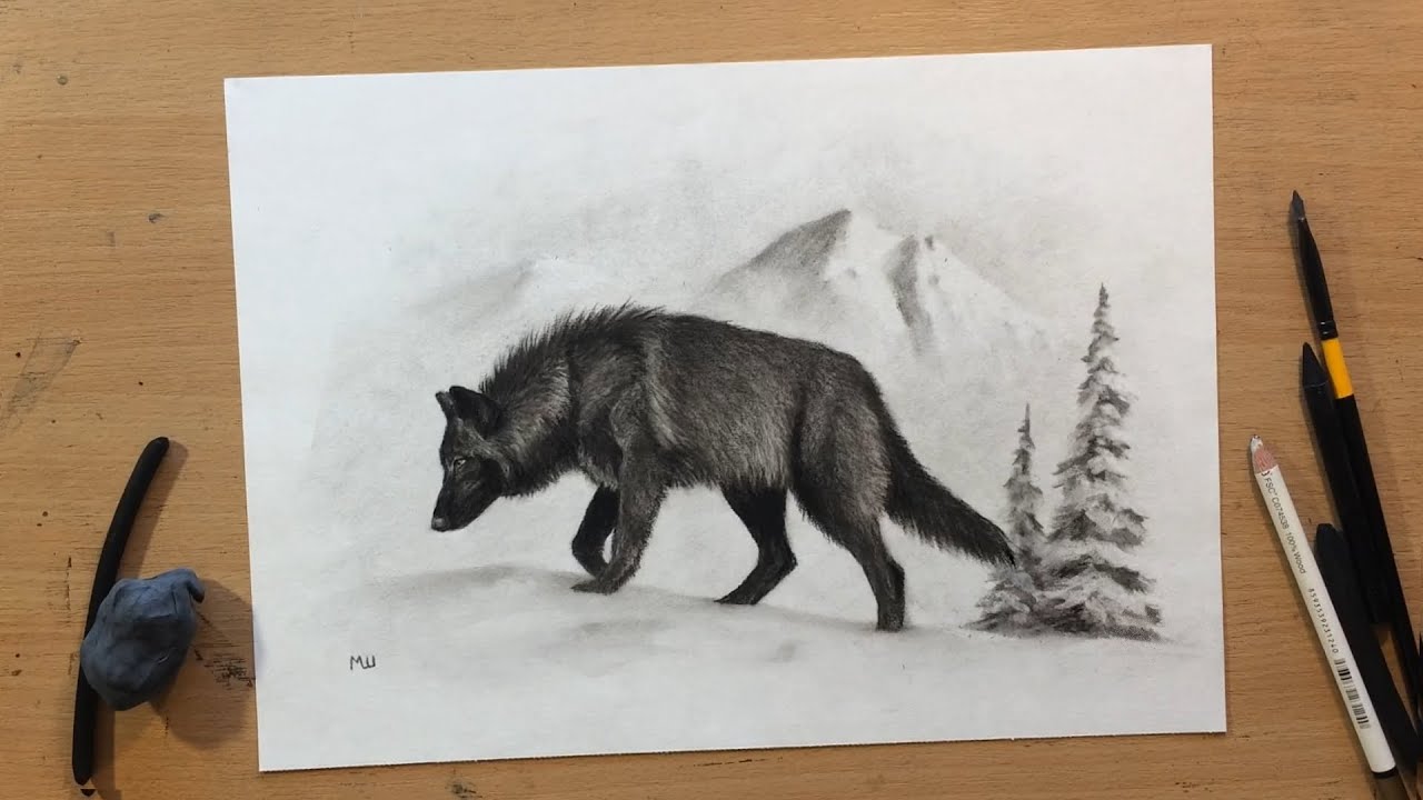 Black Wolf Charcoal Drawing - Wildlife Art