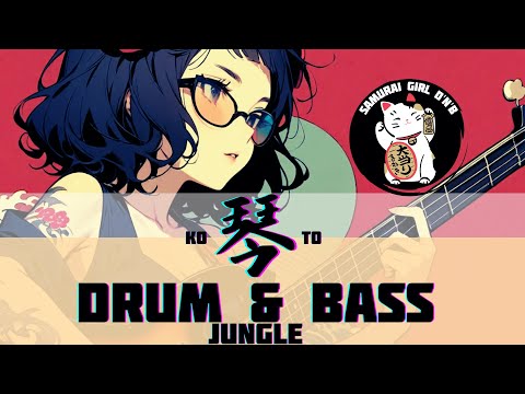 【和風BGM】Japanese Drum and Bass jungle work study BGM