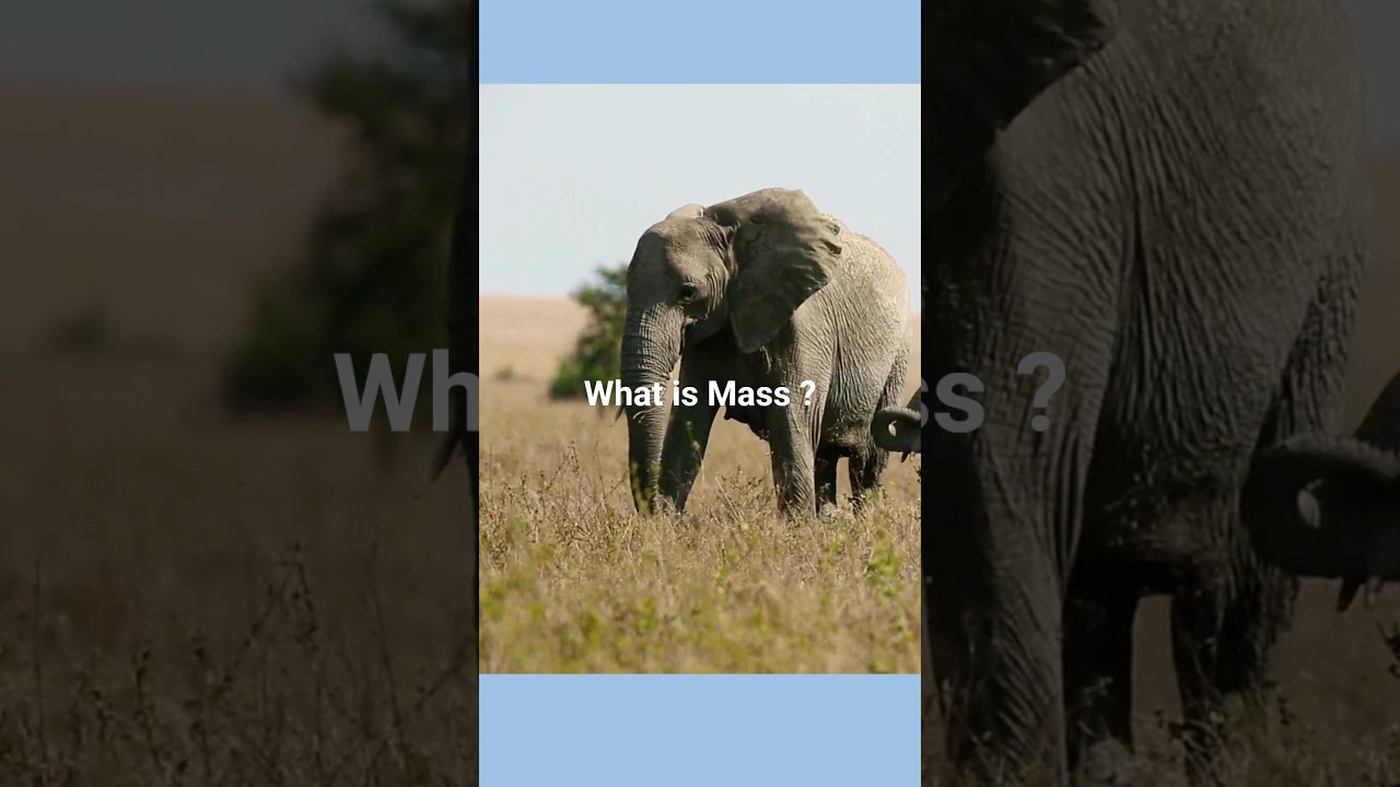 Definition of Mass in Physics